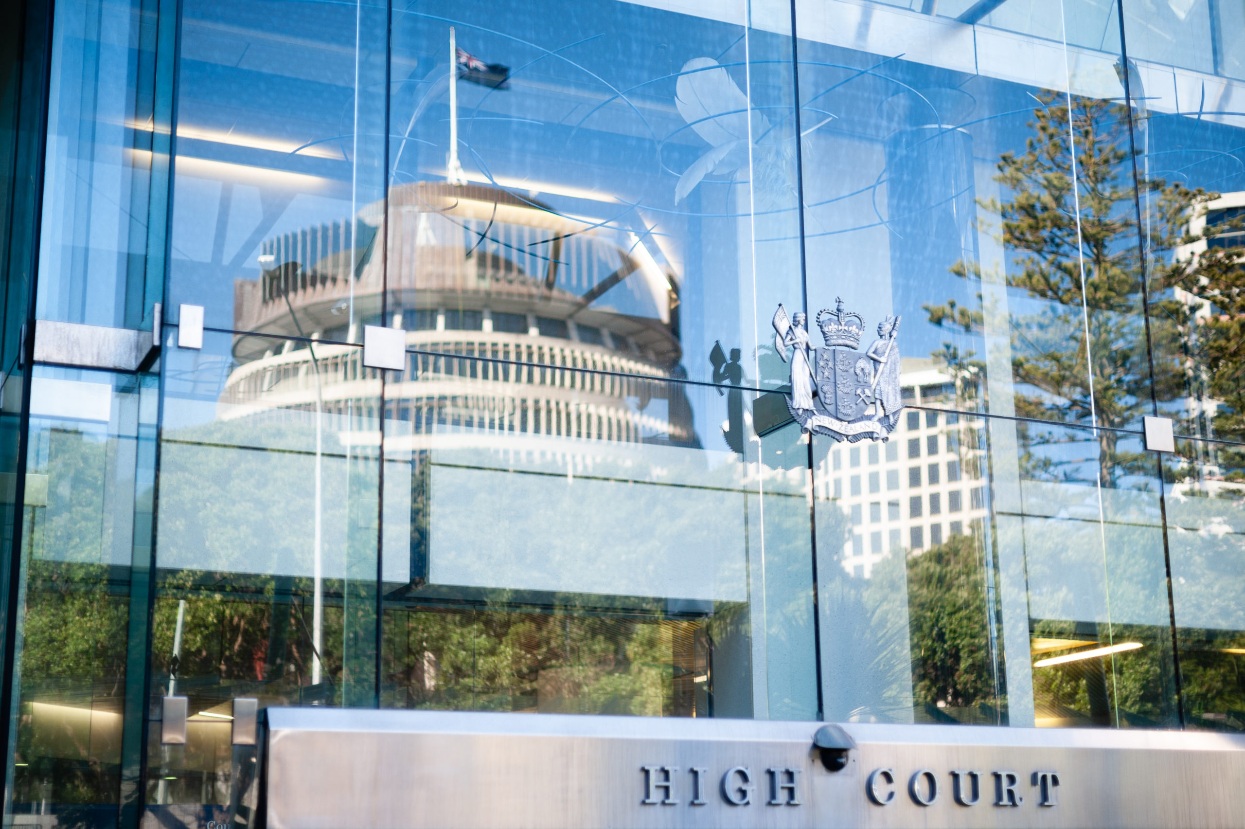 Applying for High Court Directions in a Liquidation - Biz Rescue